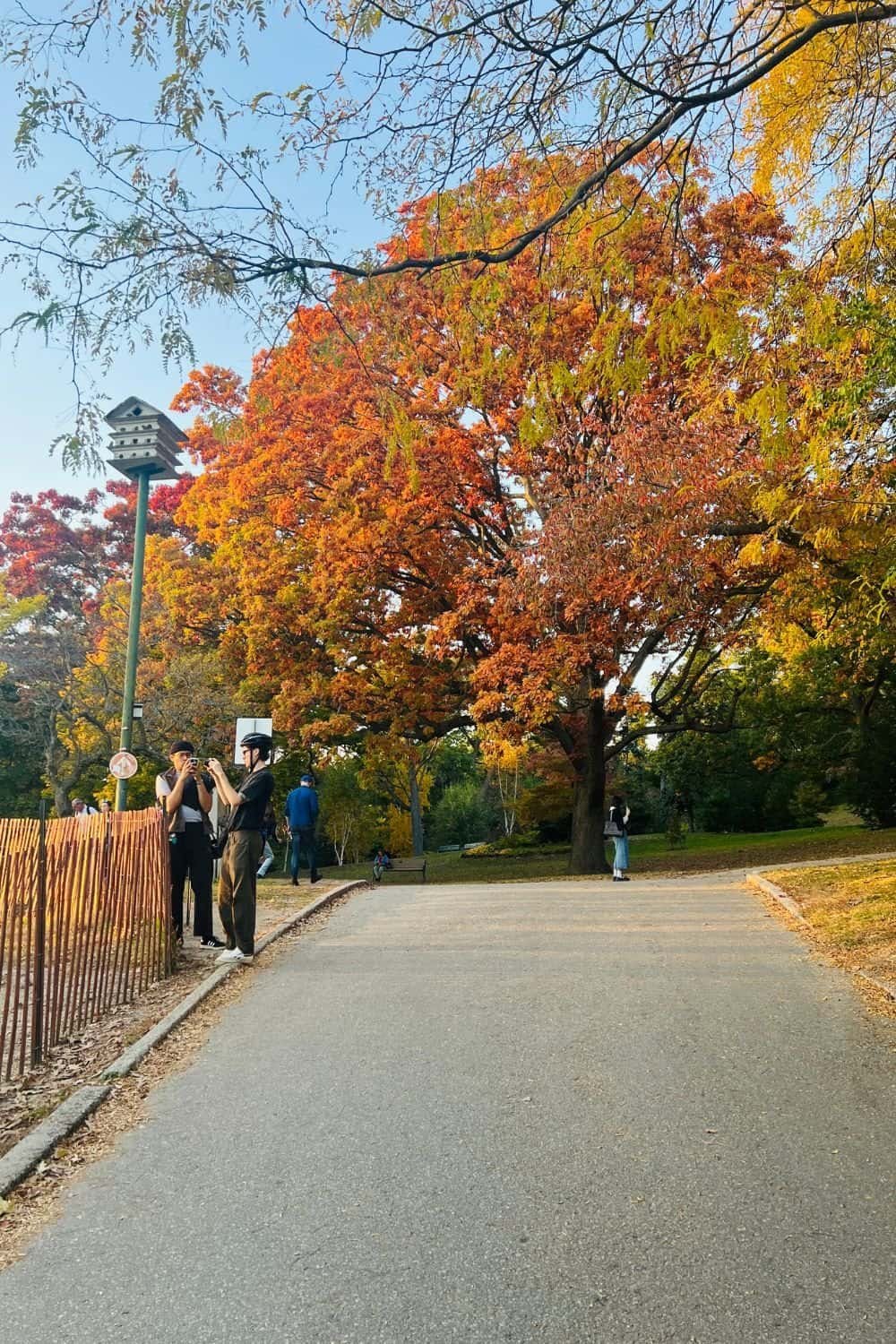 Toronto’s Top 15 Spots to Experience Fall Colors - Canada Travel and Beyond